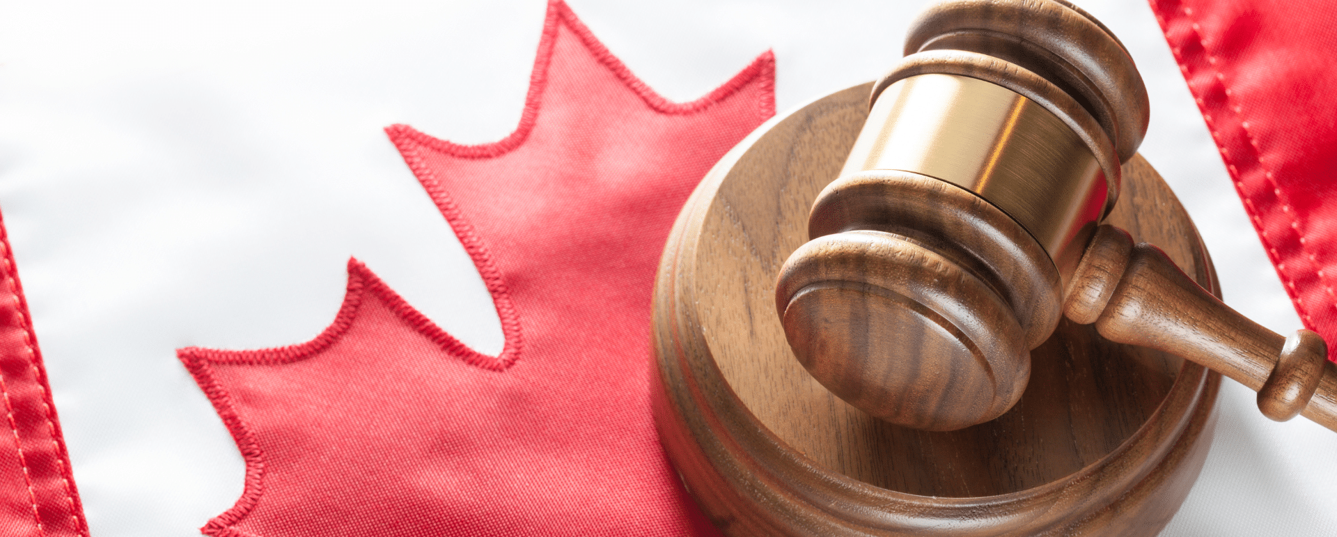 How Much Do You Really Know About Your Language Service Provider ...